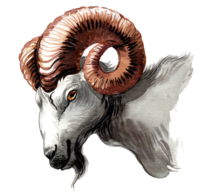 Cartoon Head Ram Stock Illustrations – 4,618 Cartoon Head Ram Stock ...