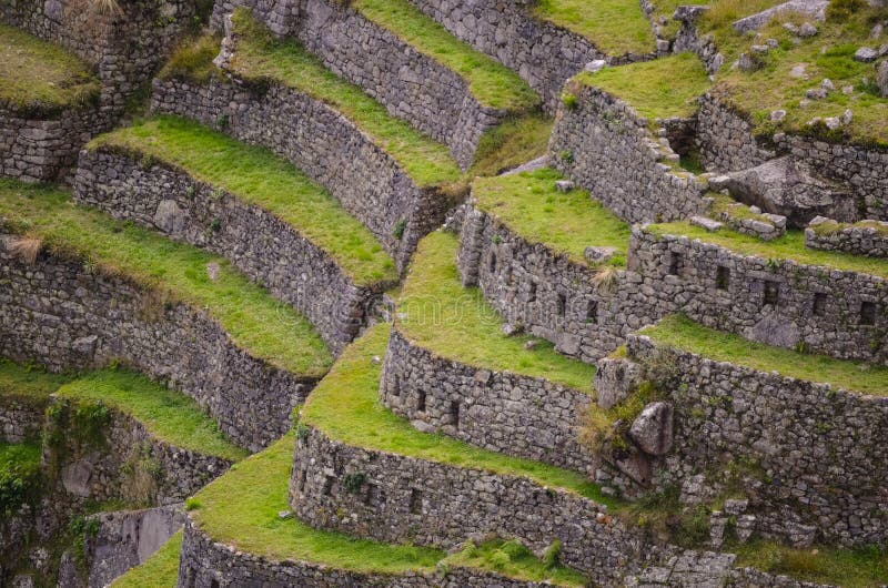 Inka terraces stock photo. Image of machu, picchu, inka - 54592710