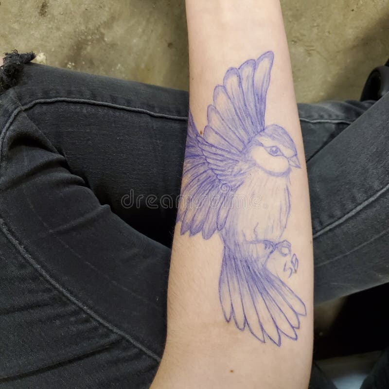 Inked bird on left arm stock image. Image of limb, drawing - 178162861