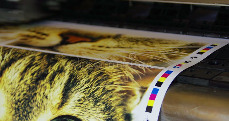 Plotter print cmyk 4 stock footage. Video of lapse, output - 110807804