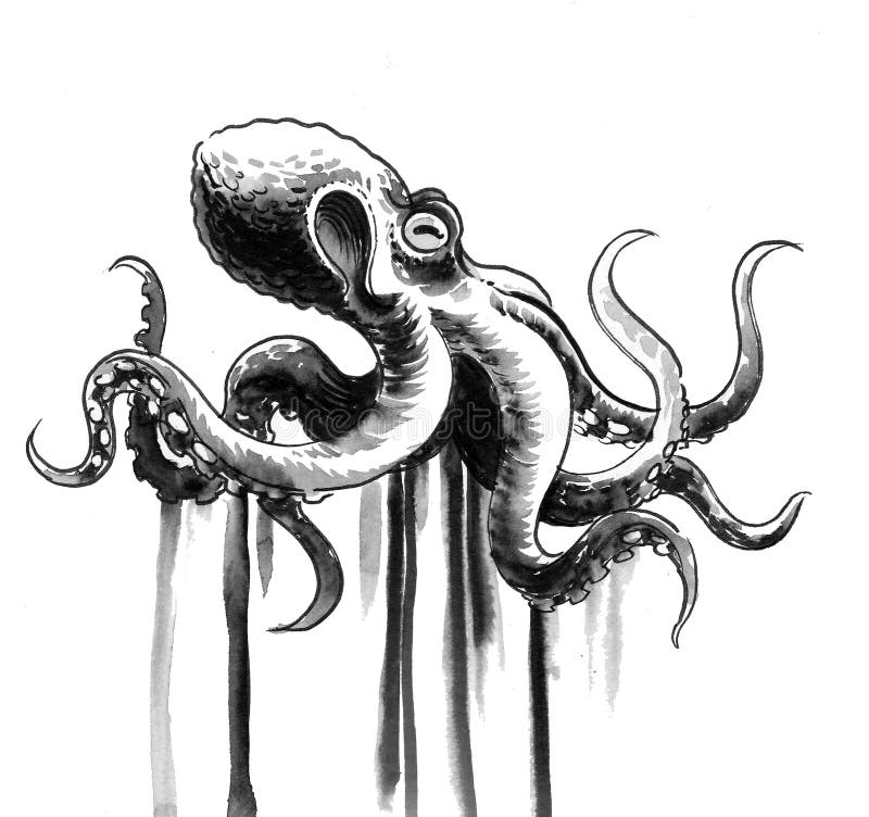 Inky octopus stock illustration. Illustration of wildlife - 283650212