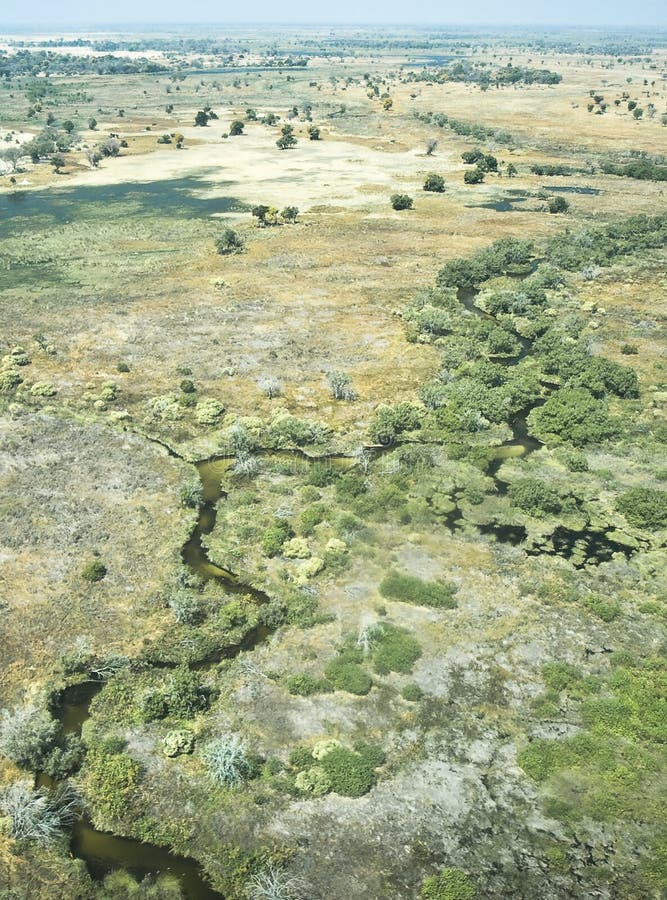 Inland delta stock photo. Image of wilderness, tree, delta - 11352126