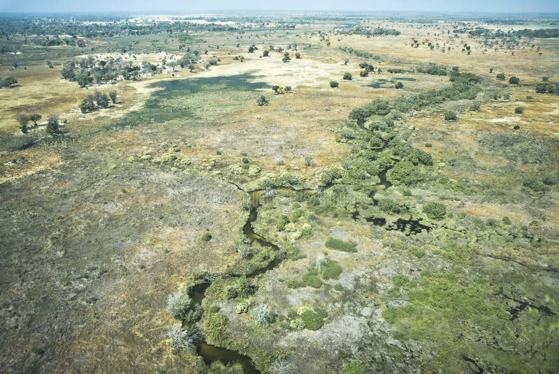 Inland delta stock image. Image of plains, beauty, river - 11352167