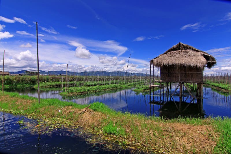 Inle Lake - stock image. Image of tomatofield, tomato - 11261139
