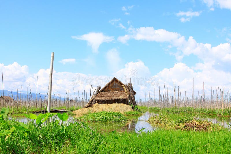 Inle Lake Floating Farm, Myanmar Stock Image - Image of rural, nature ...