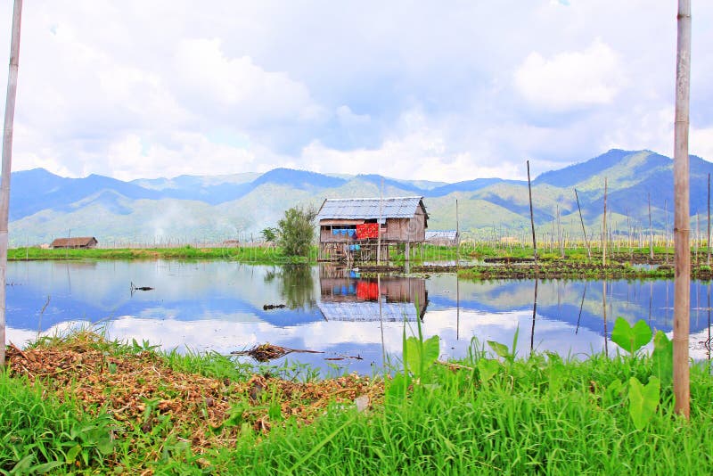 Inle Lake Floating Farm, Myanmar Stock Photo - Image of lake, meadow ...