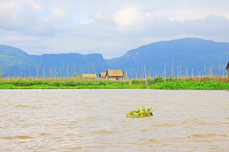 Inle Lake Floating Farm, Myanmar Stock Photo - Image of rural, field ...