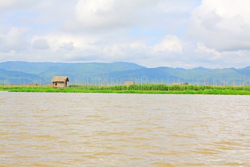 Inle Lake Floating Farm, Myanmar Stock Photo - Image of inle, green ...
