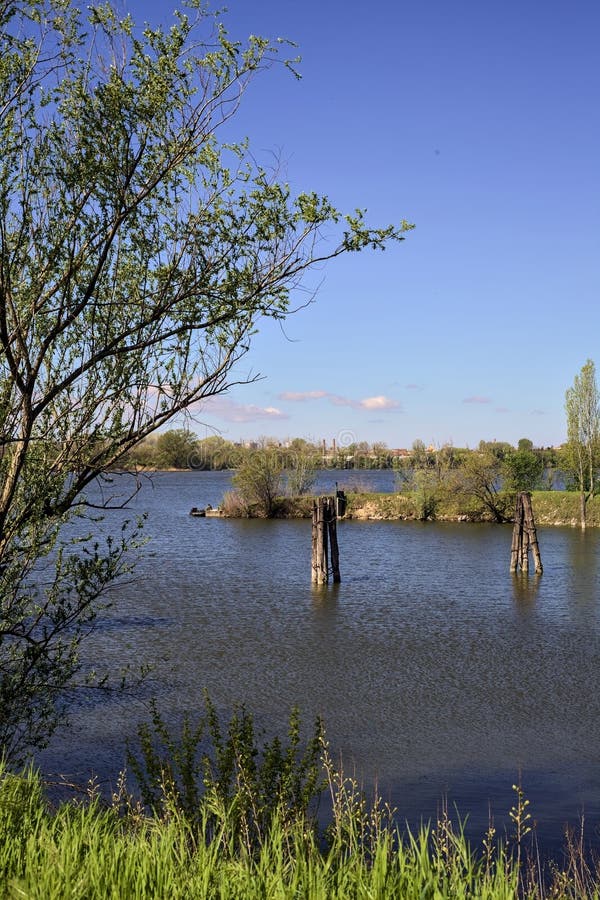 Inlet of a River with Wooden Poles in a Forest on a Sunny Day Stock ...