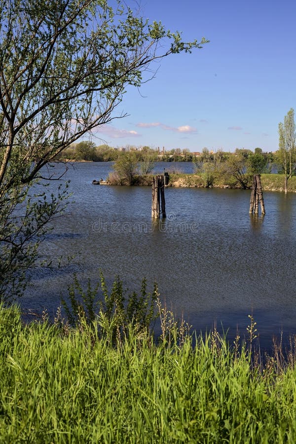 Inlet of a River with Wooden Poles in a Forest on a Sunny Day Stock ...