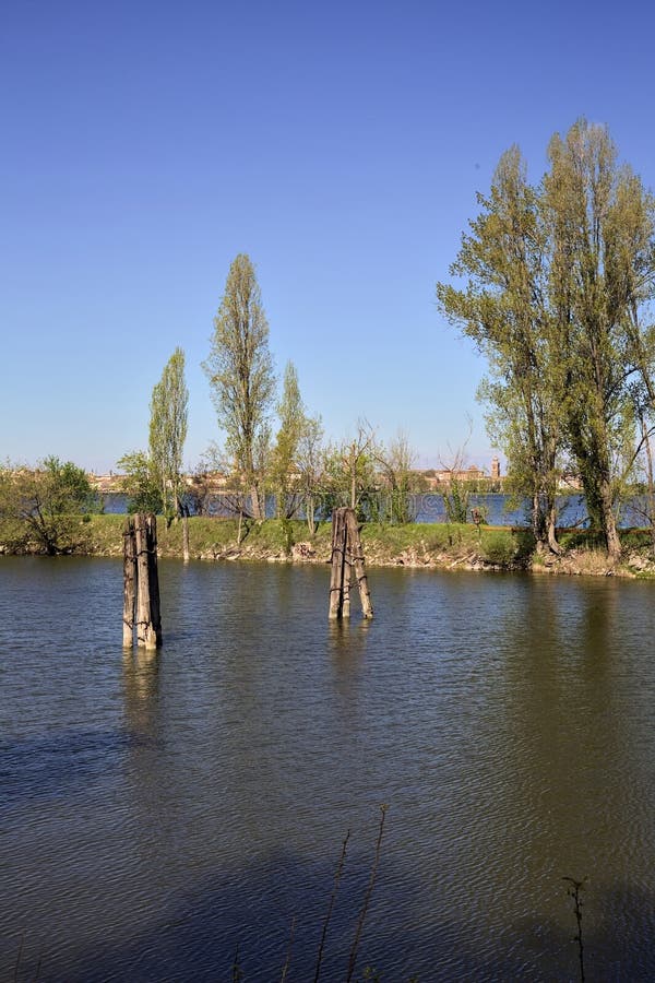 Inlet of a River with Wooden Poles in a Forest on a Sunny Day Stock ...