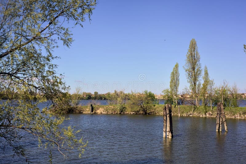 Inlet of a River with Wooden Poles in a Forest on a Sunny Day Stock ...
