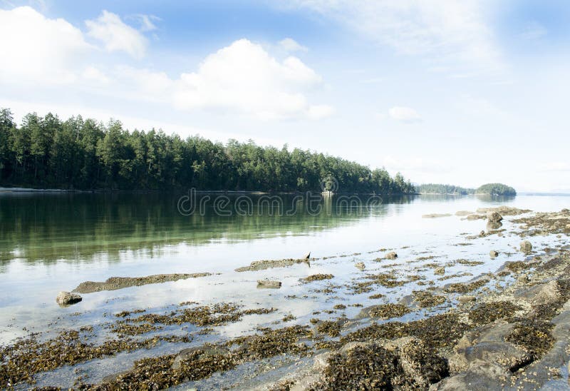 Inlet View with Reflection on Water Stock Image - Image of cloud ...