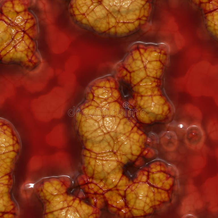 Innards stock de ilustración. Ilustración de trasplante - 4327346