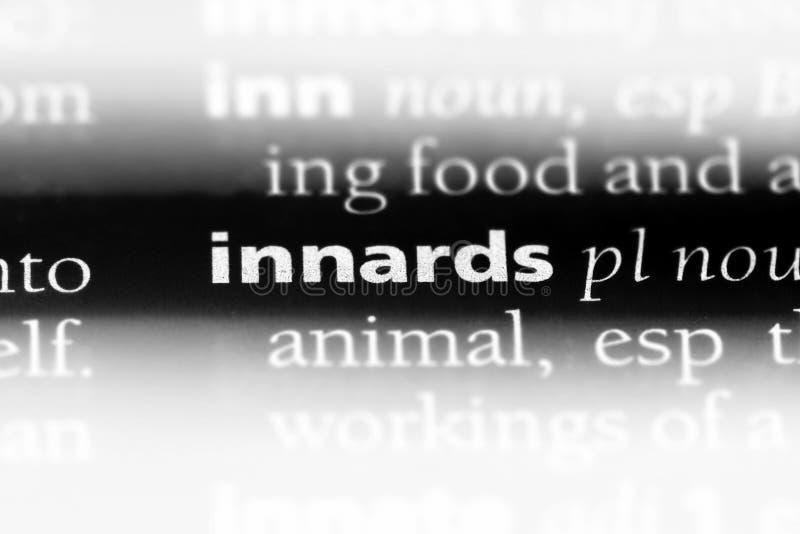 Innards stock photo. Image of info, macro, definition - 126531242