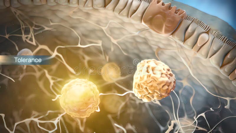 Mucosal Immunity Stock Illustrations – 36 Mucosal Immunity Stock ...