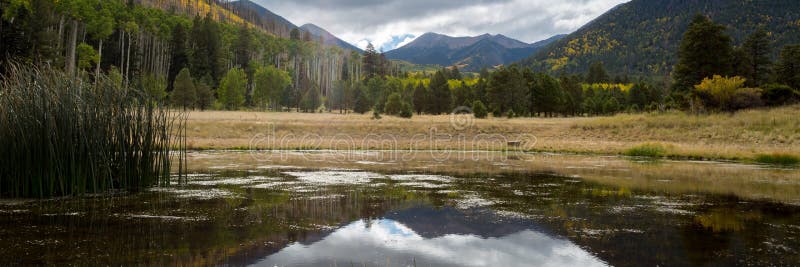 The Inner Basin Trail in Northern Arizona. Stock Photo - Image of ...