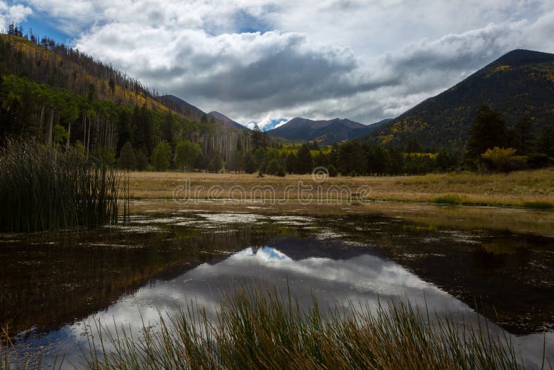 The Inner Basin Trail in Northern Arizona. Stock Image - Image of ...