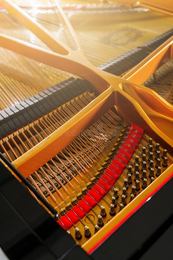 Inner Details of Luxury Grand Piano Such As Hammers, Strings and Pins ...