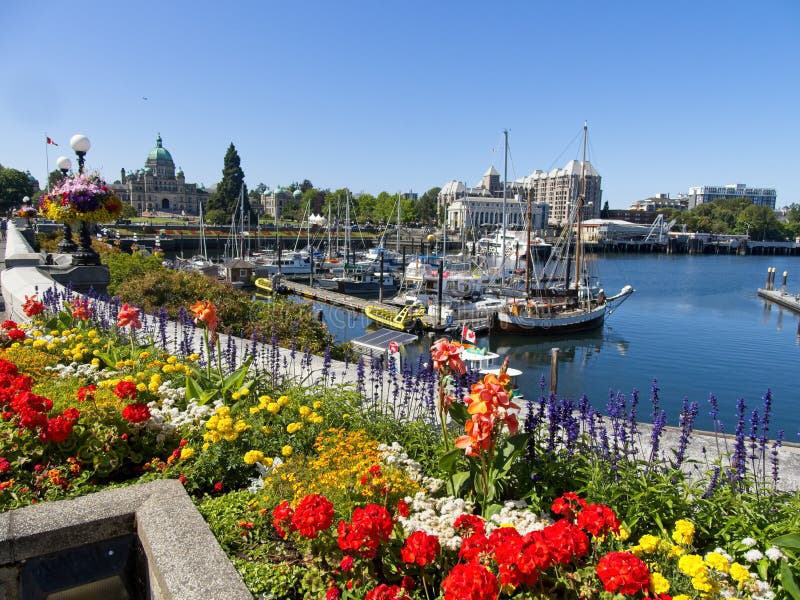 Inner Harbor in Downtown of Victoria BC Editorial Stock Photo - Image ...