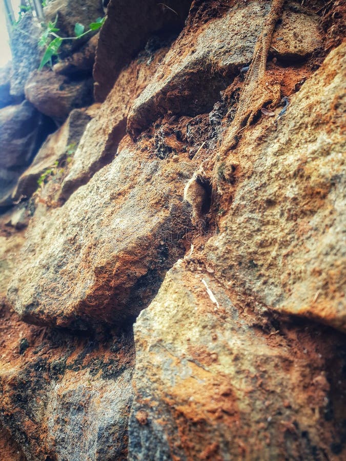 Inner Layer Texture of Sedimentary Rock. Stone Background Stock Image ...