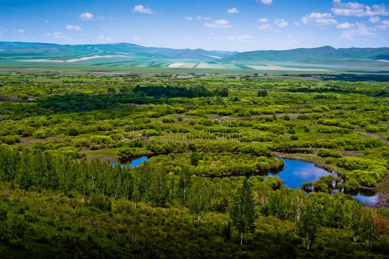 Inner Mongolia wetland stock photo. Image of green, fresh - 25602944