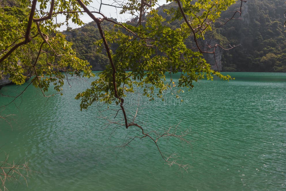 The Inner Sea viewpoint stock image. Image of coastline - 29603381