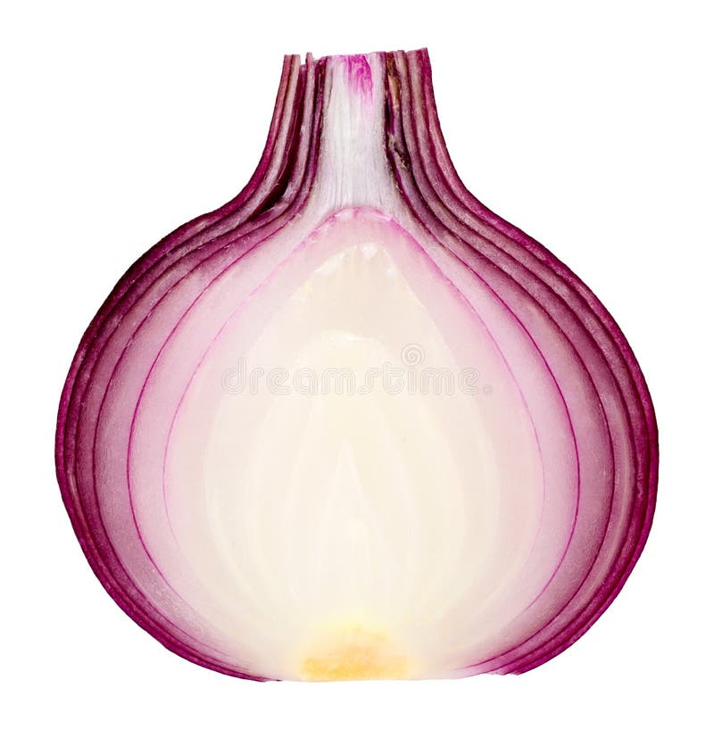 Inner Structure of a Red Onion Cut in Half Stock Image - Image of ... Inner Structure of a Red Onion Cut in Half Stock Image - Image of ...