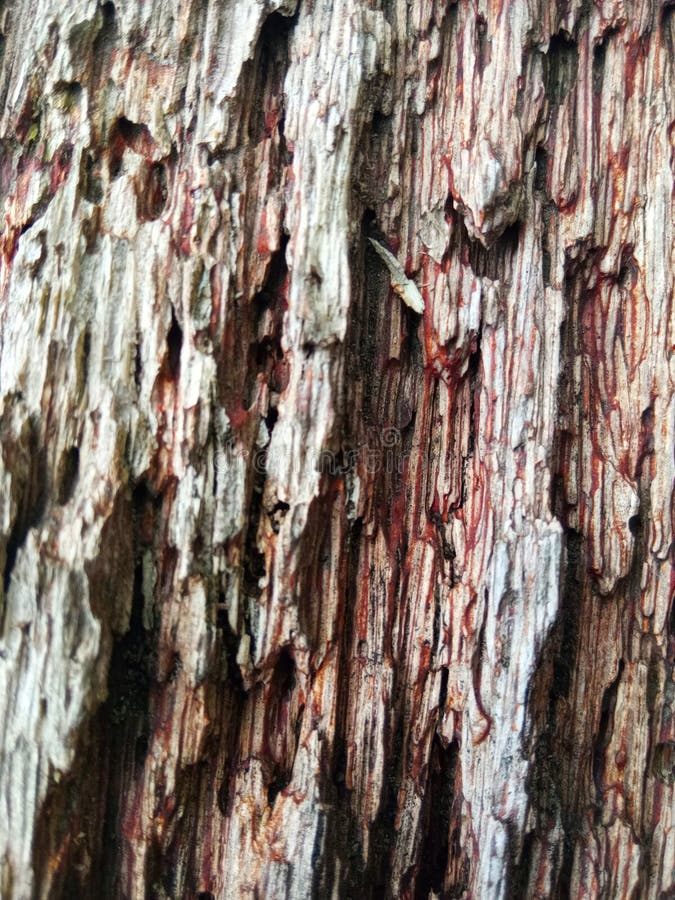 Inner texture stock photo. Image of life, office, covered - 102406616