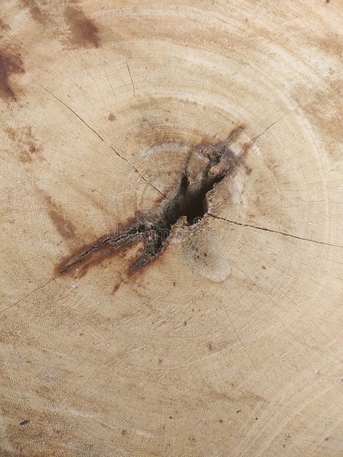 623 Inner Wood Texture Photos - Free & Royalty-Free Stock Photos from ...