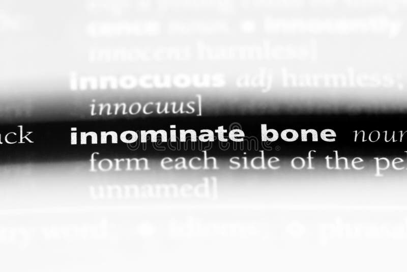 Innominate bone stock image. Image of text, concept - 126531239