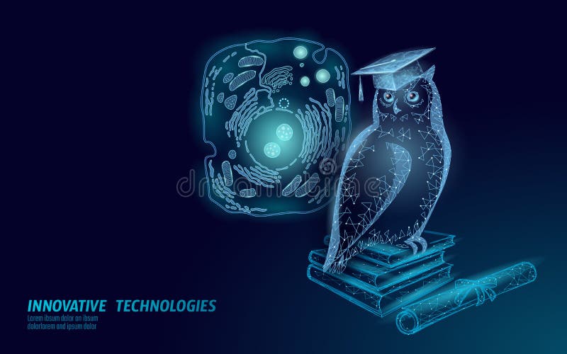 E-learning Distance Graduate Certificate Program Concept. Low Poly 3D ...