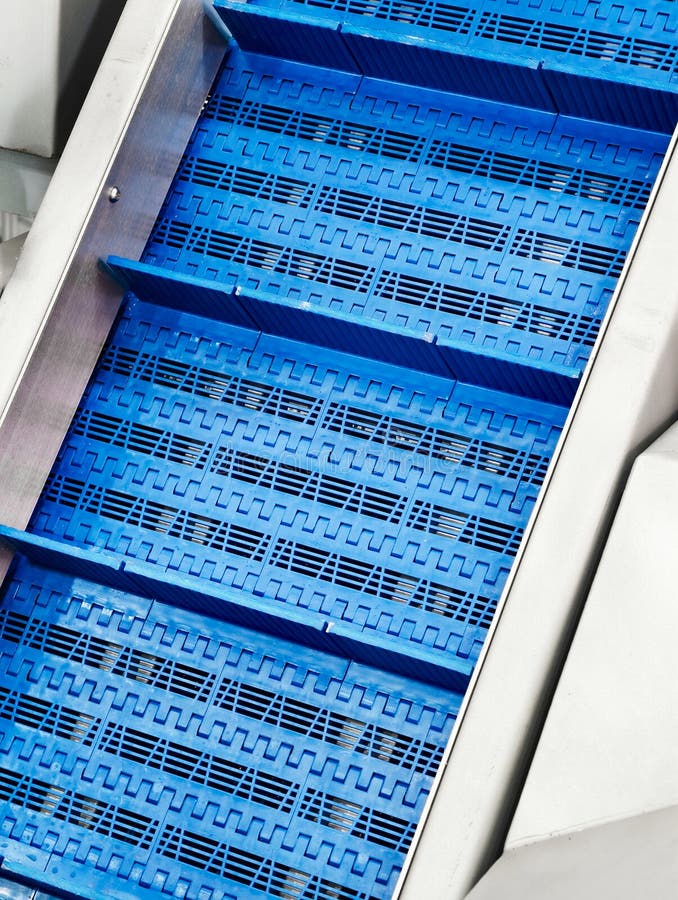 Innovative Blue Plate Conveyor System Enhancing Efficiency in ...