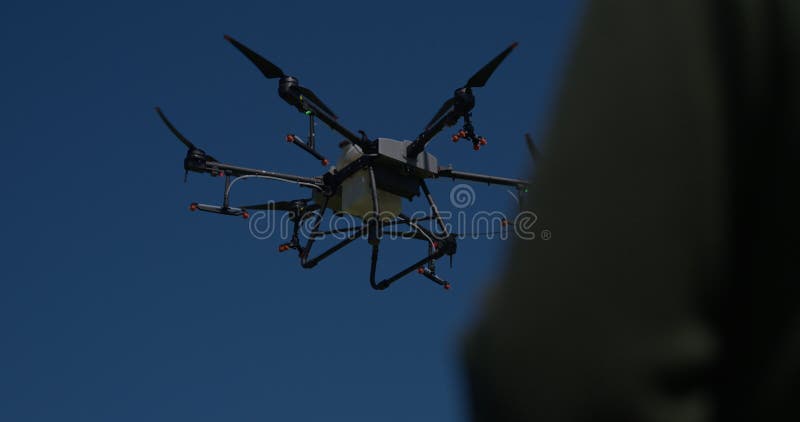 An Innovative Farmer Operates a Drone while Standing in the Middle of a ...