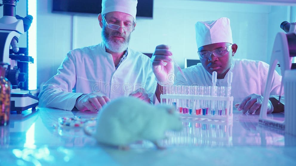 Innovative Research in a Modern Laboratory with Chemists Analyzing Experiments and Data Stock ...