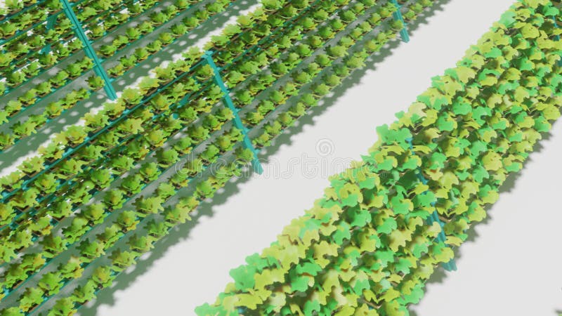 Innovative Vertical Farm that Uses only Sunlight 3D Animation Concept ...