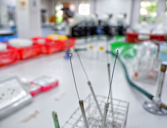 The inoculating loop stock image. Image of biological - 158135695