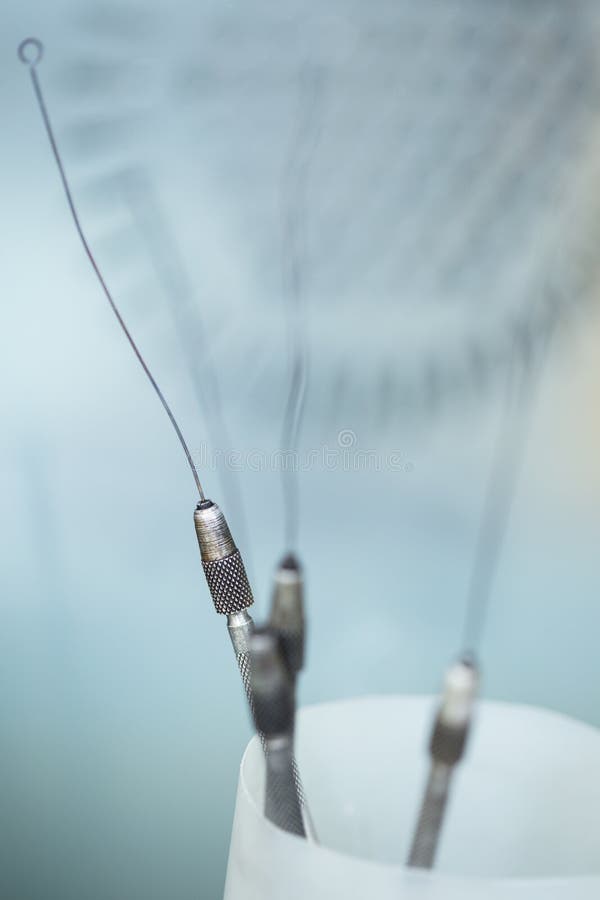 The inoculating loop stock image. Image of biological - 158135695