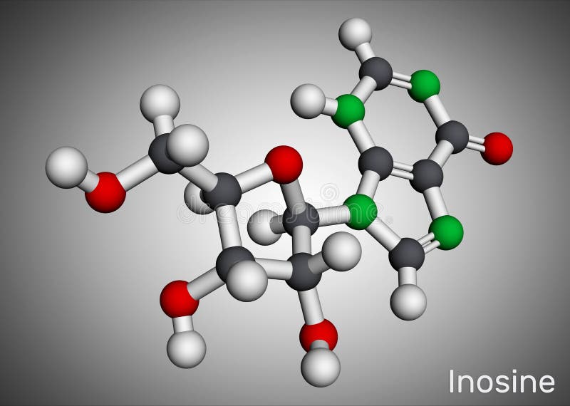 Inosine Molecule. it is Purine Nucleoside, Commonly Occurs in TRNA ...