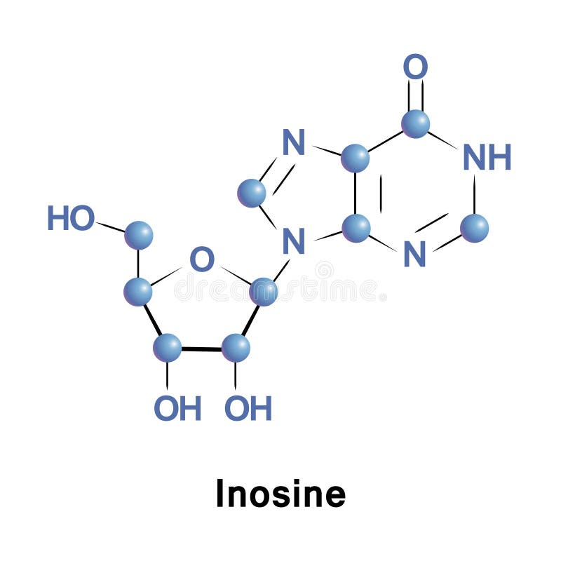 Inosina no tRNA ilustração do vetor. Ilustração de suplemento - 84208656