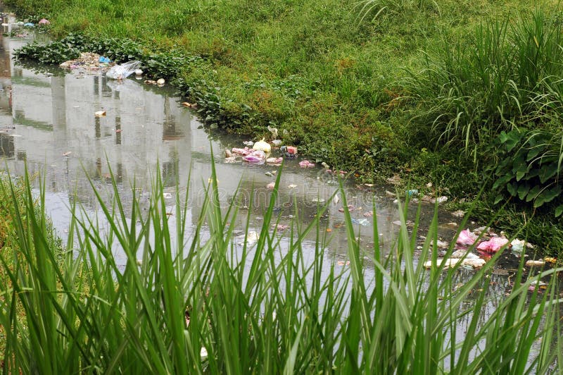 Inquinamento Nell'acqua Del Lago, Romania Fotografia Stock Editoriale ...