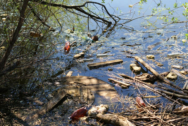 Inquinamento Nell'acqua Del Lago, Romania Fotografia Stock Editoriale ...