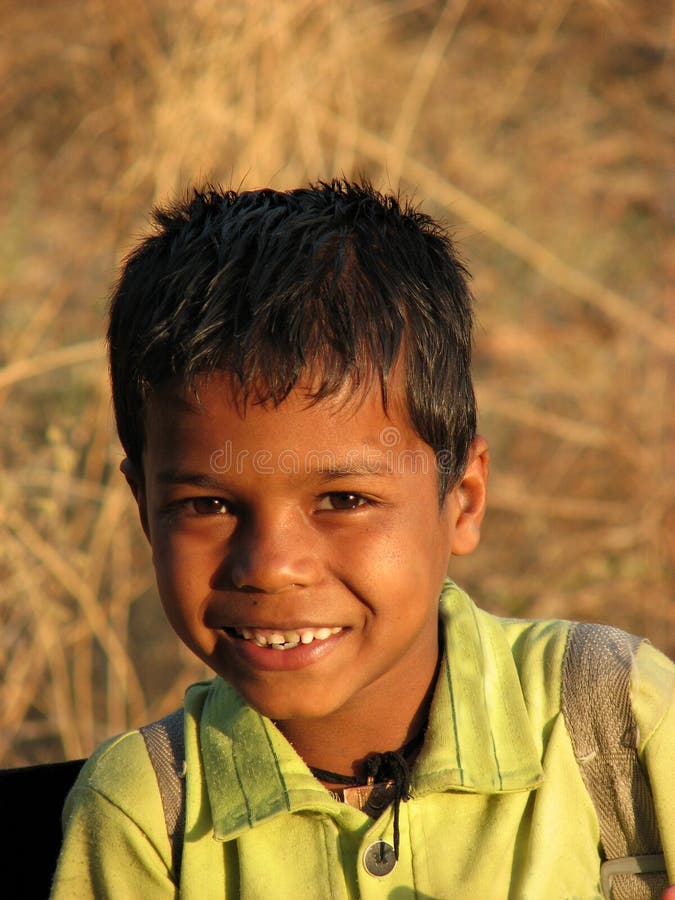 960+ Inquisitive Free Stock Photos - StockFreeImages