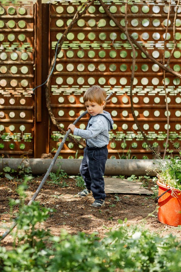 Inquisitive Toddler is Exploring Objects in the Backyard. Stock Photo ...