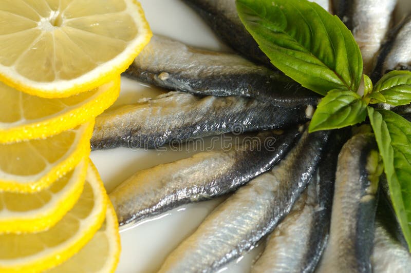 Insalata dello spratto fotografia stock. Immagine di pesci - 11016144