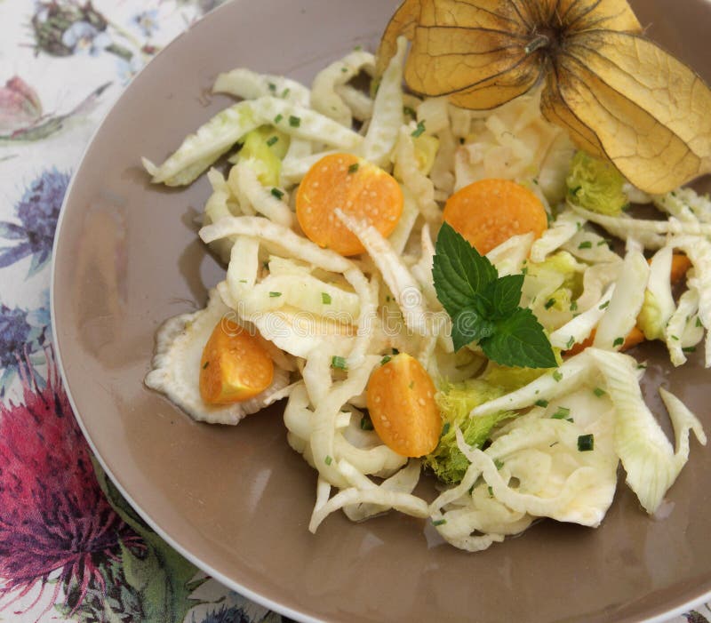 Insalata di finocchio fotografia stock. Immagine di buffet - 94766648