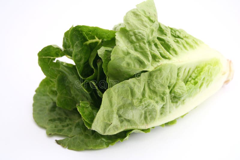 Insalata Rossa Di Lollo Rosso Fotografia Stock - Immagine di caloria ...