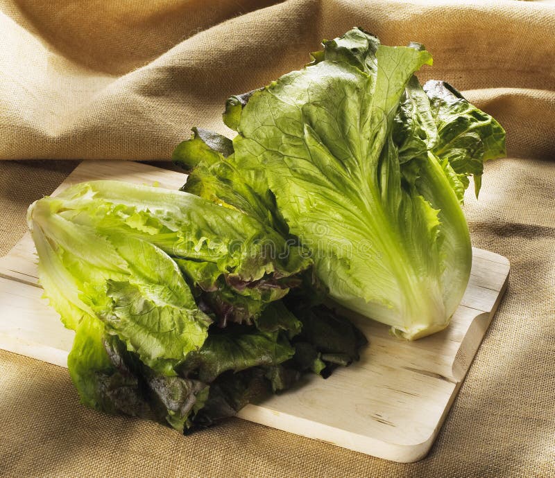 Insalata verde fresca immagine stock. Immagine di freschezza - 14434265