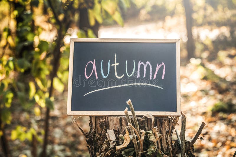 Inscription Autumn on a Chalk Board with Colored Crayons on a ...