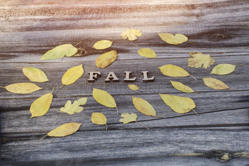 Inscription Fall on a Wooden Background, Frame of Yellow Leaves Stock ...